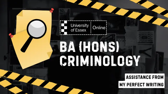 BA (Hons) Criminology & Criminal Justice - University of Essex Online ...